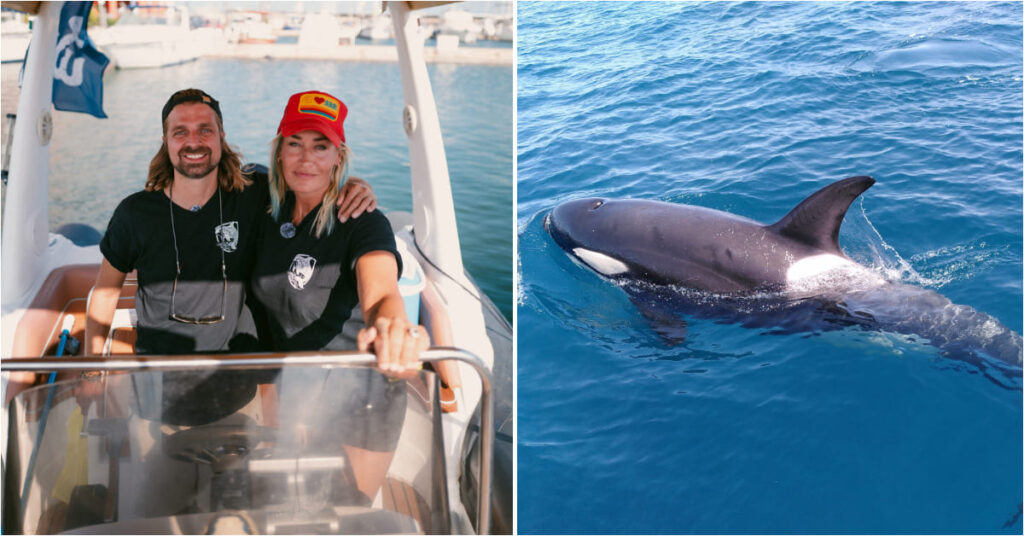 Sarah Connor gründet Stiftung zur Rettung der Orcas - DIE STIFTUNG